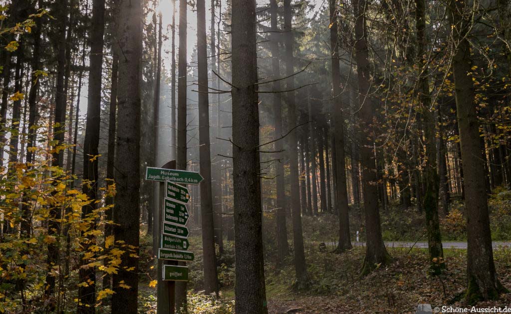 Goethewanderweg - Kultur trifft Natur! Kleinod im Thüringer Wald